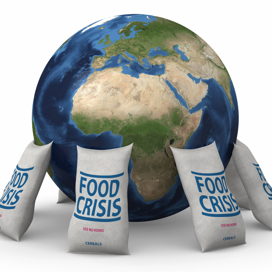 The Food Shortage Could Be More Lethal Than Covid - Financial Wars